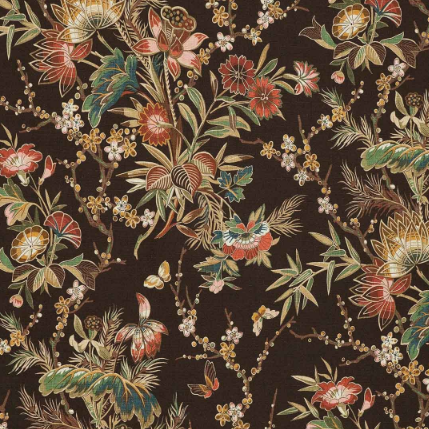 Kinabalu - Java – Jerry Pair Florida