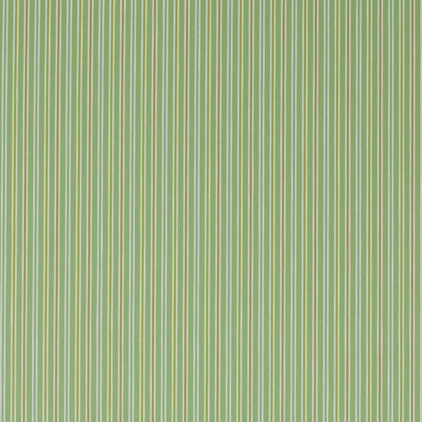 Melford Stripe - Fern – Jerry Pair Florida