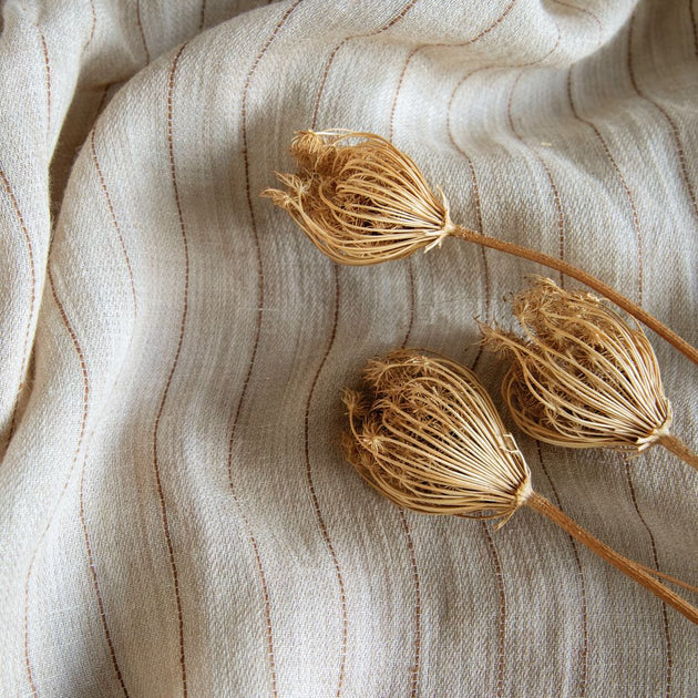 Jules Avoine – Jerry Pair Florida