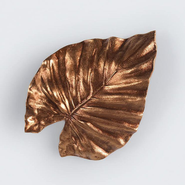 Calathea Leaf Warp Large – Jerry Pair Florida