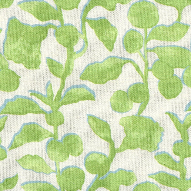 Capri - Apple – Jerry Pair Florida