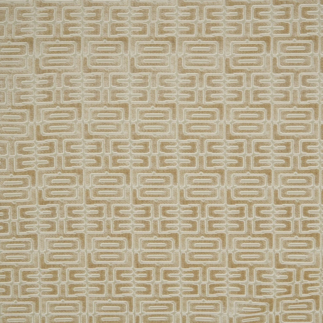 Labyrinth Velvet - Parchment – Jerry Pair Florida
