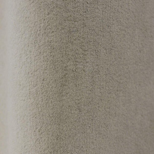 Alexander - Tortora – Jerry Pair Florida