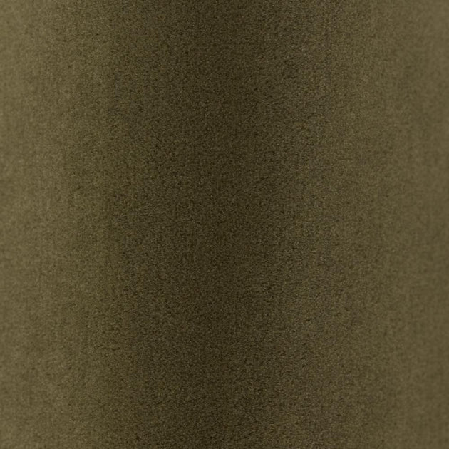 Alexander - Oliva – Jerry Pair Florida