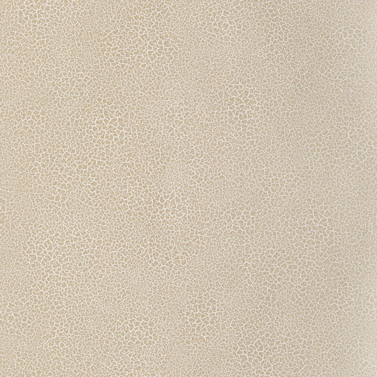 Raku - EDM21 – Jerry Pair Florida