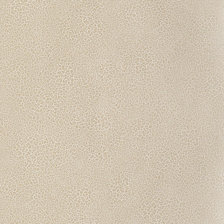 Raku - EDM21 – Jerry Pair Florida