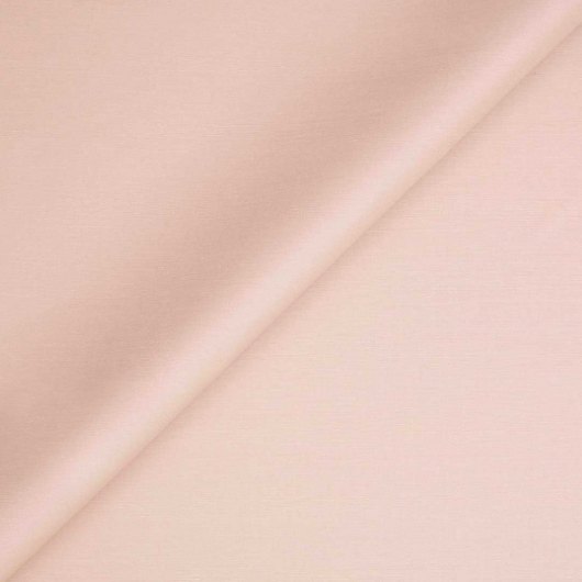 Nala - Shell – Jerry Pair Florida